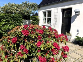 Terraço/pátio interior