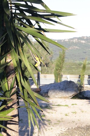 Terrenos do alojamento