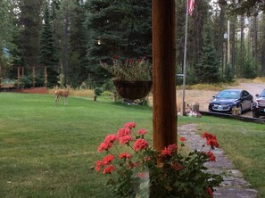 Estacionamento grátis