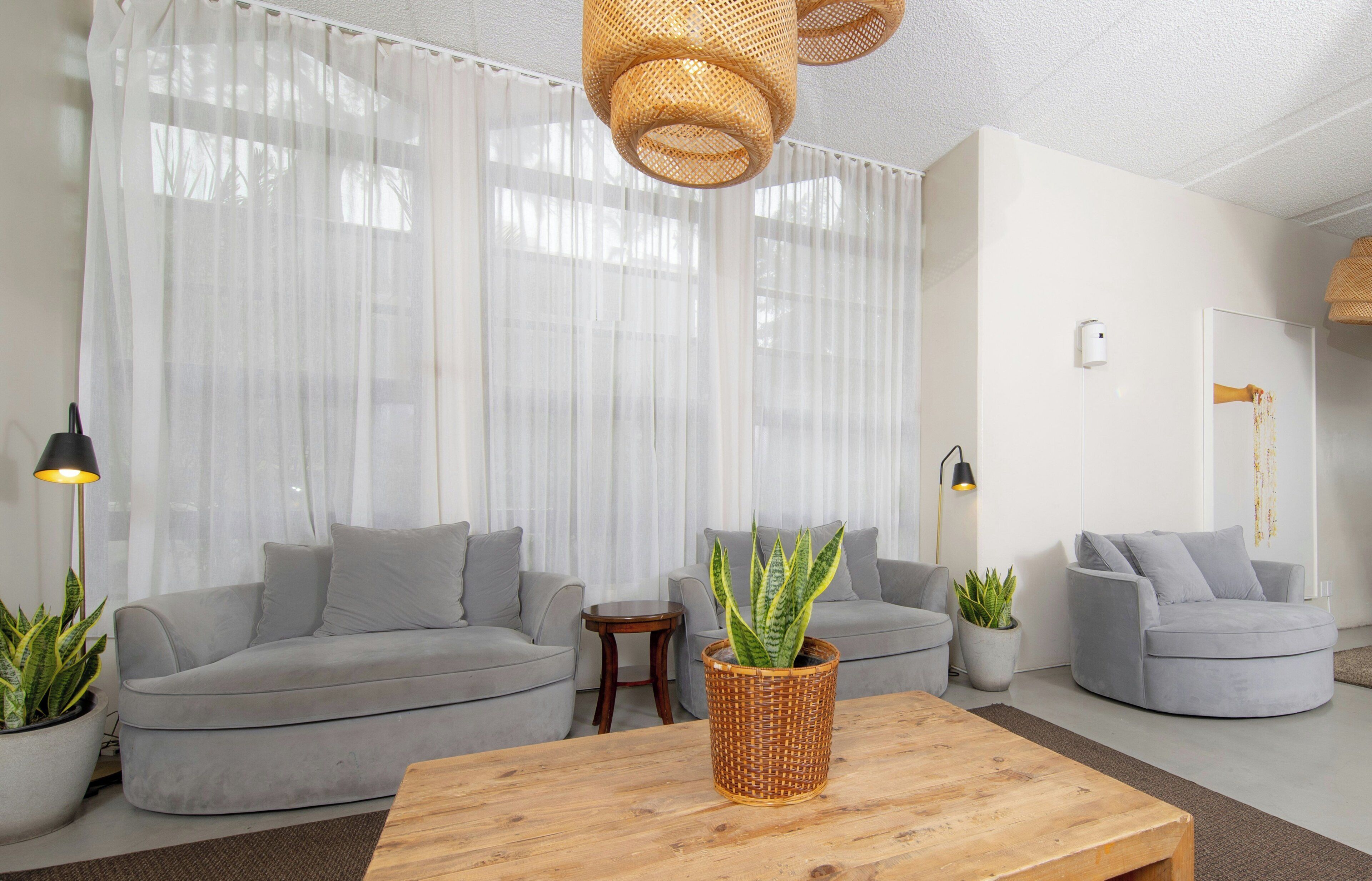 Uma sala de estar moderna com sofás cinza, uma mesa de centro de madeira e plantas em vasos.