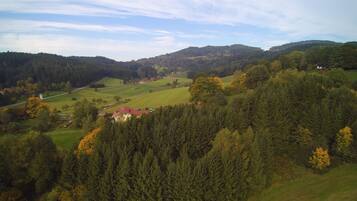 Paisagem rural com colinas onduladas, florestas densas e casas dispersas.