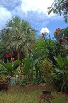 Terrenos do alojamento