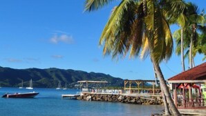 Uma praia com uma palmeira, um cais com estrutura de madeira e barcos na água.