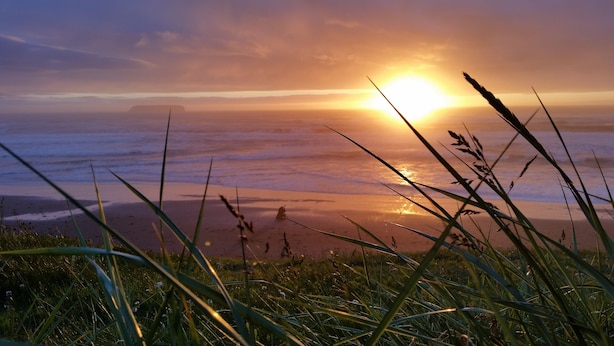 Cena de praia com grama em primeiro plano e um pôr do sol ao fundo.