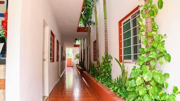Escadas