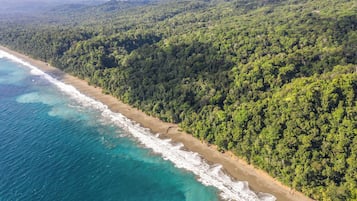 Perto da praia, autocarro grátis para a praia, toalhas de praia
