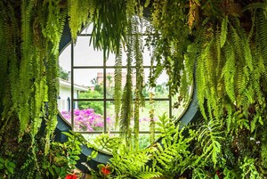 Comodidades da propriedade