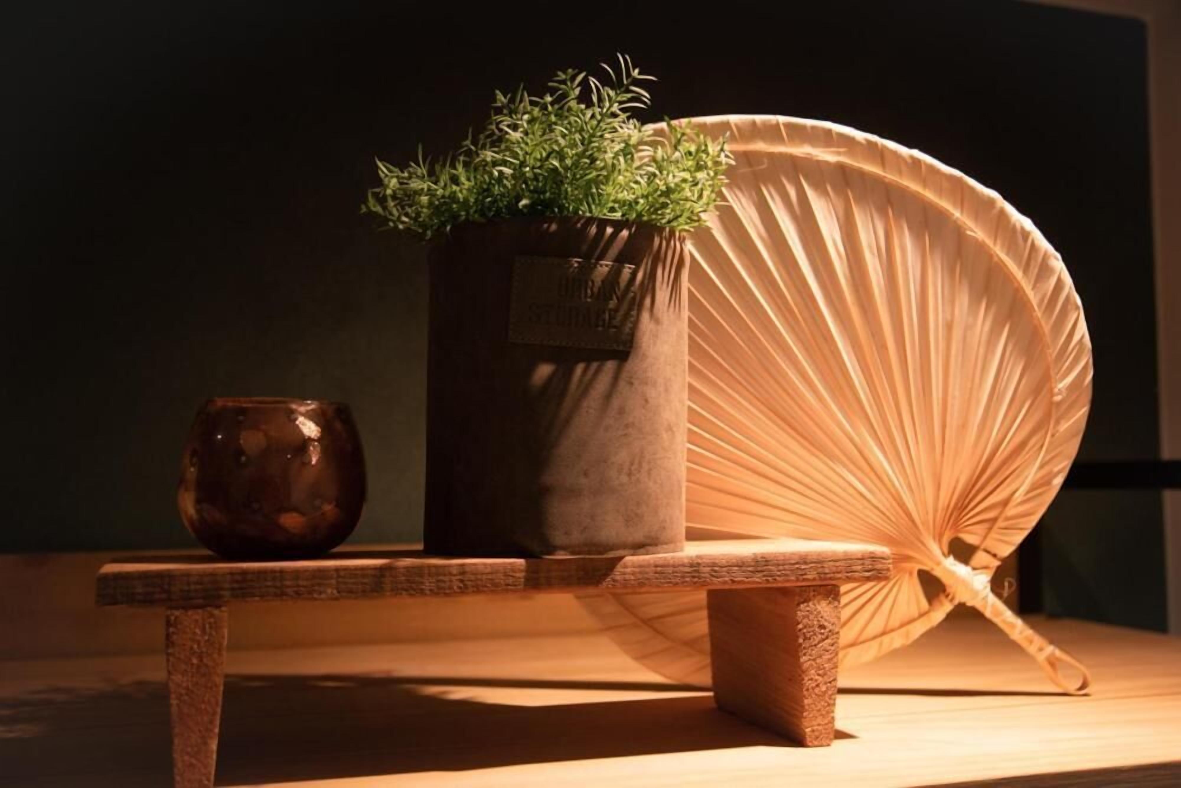 Mesa de madeira com planta em vaso e um leque decorativo.