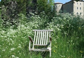 Uma cadeira de madeira em um campo de grama alta e flores silvestres, com um edifício de pedra ao fundo.