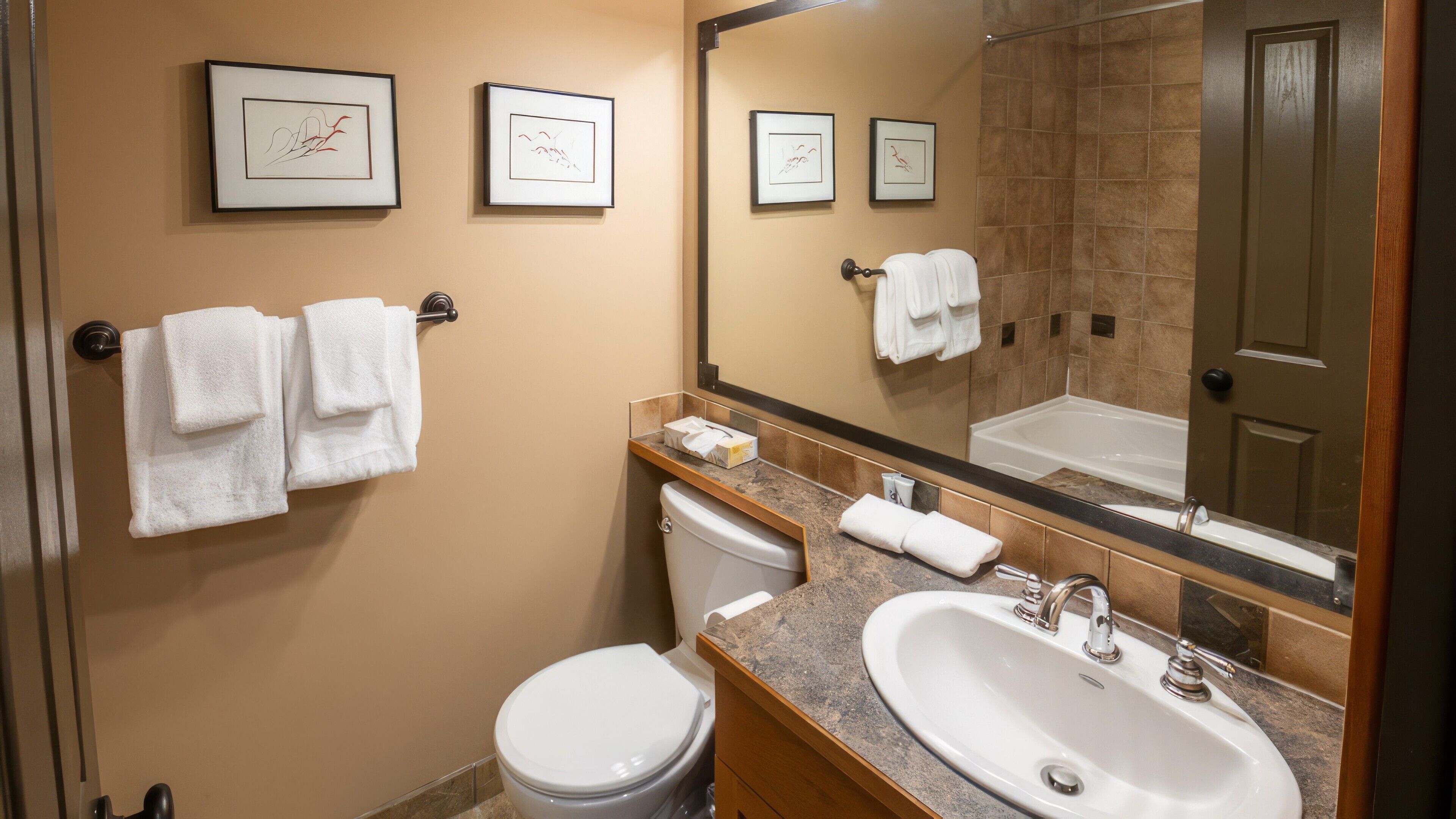 Uma combinação polibã/banheira, artigos de higiene pessoal grátis 