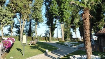 Pátio interior