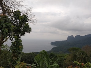 Paisagem costeira com vegetação densa e vista para o mar.