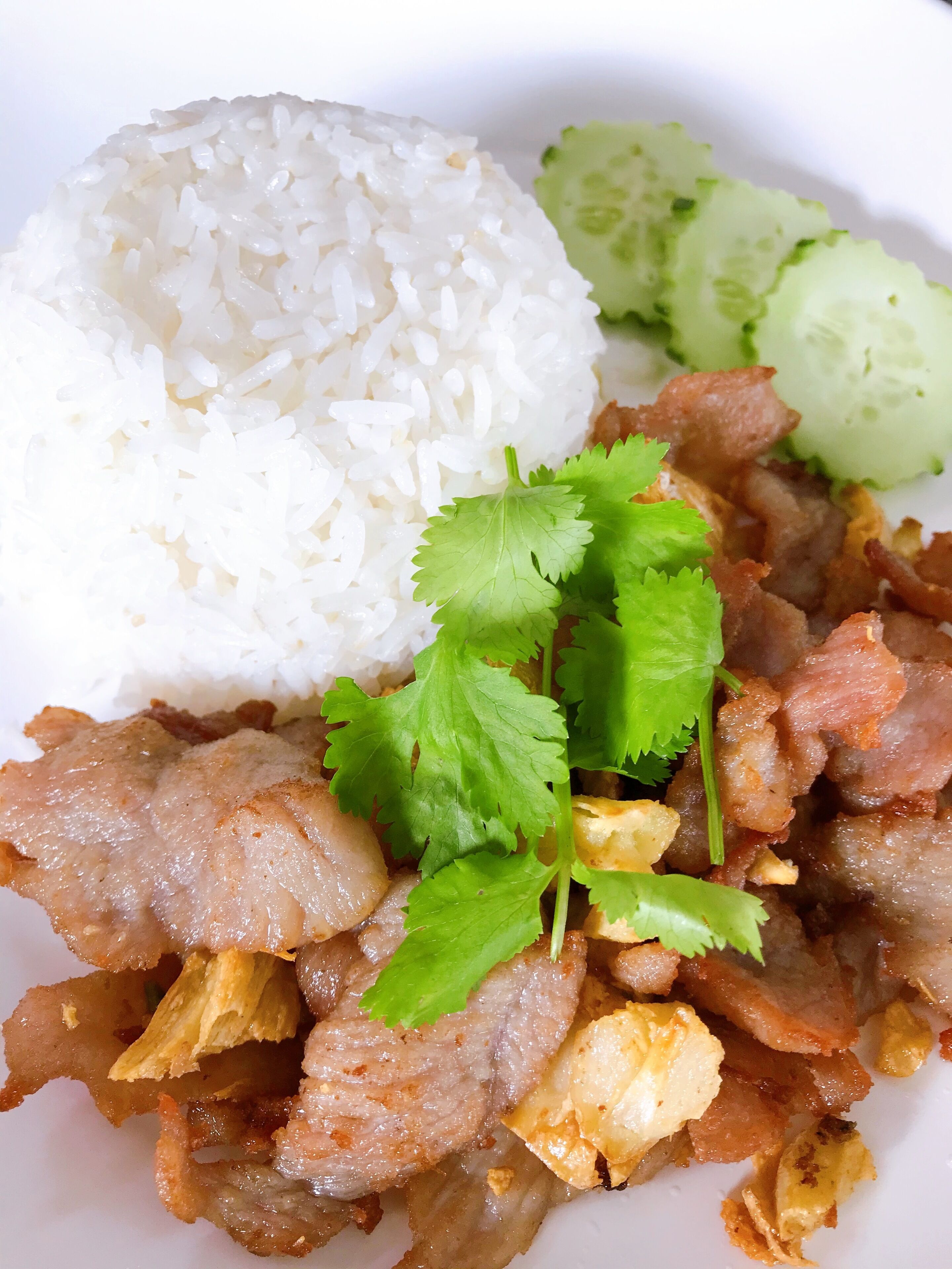 Prato com arroz branco, carne de porco frita e fatias de pepino.