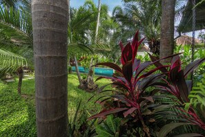 Jardim