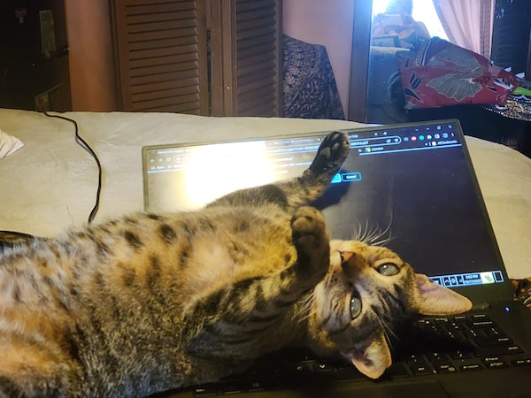 Ma'ukele Lodge - Hawaii