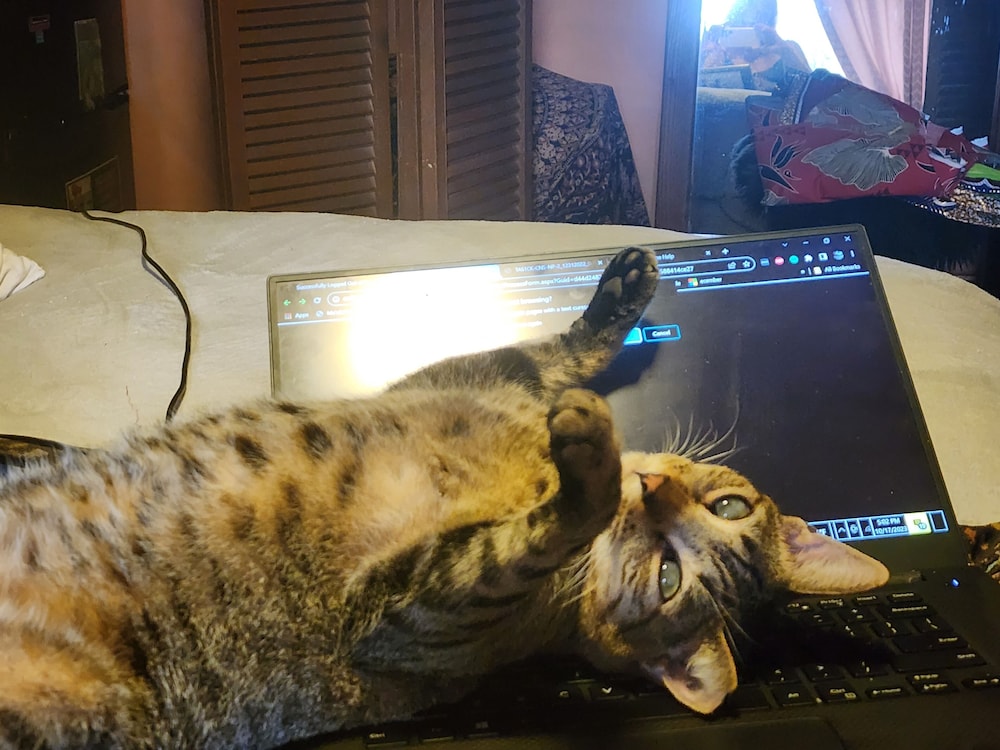 Ma'ukele Lodge - Hawaii