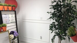 Um quarto com parede branca, uma planta em vaso e uma estante com certificados e um vaso de flores.