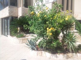 Terrenos do alojamento