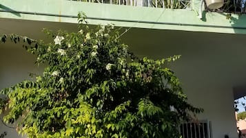 Fachada do alojamento