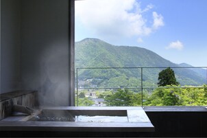 Quarto Superior, várias camas, casa de banho privativa, vista para a montanha | Vista do quarto