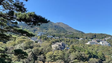 Quarto Deluxe (Japanese Style) | Vista da varanda