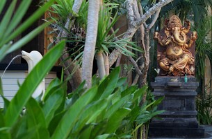 Jardim