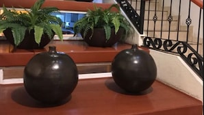 Uma escadaria decorada com vasos pretos e samambaias em vasos.
