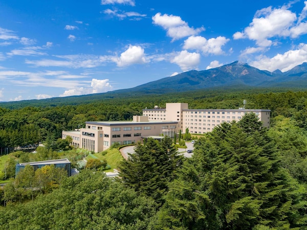 Grand Mercure Yatsugatake Resort & Spa - Japan