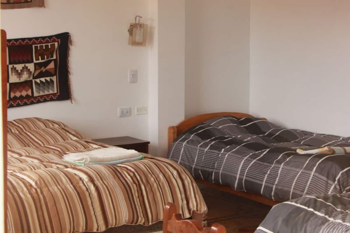 Quarto com duas camas, uma cadeira de madeira, um tapete estampado e um lustre.