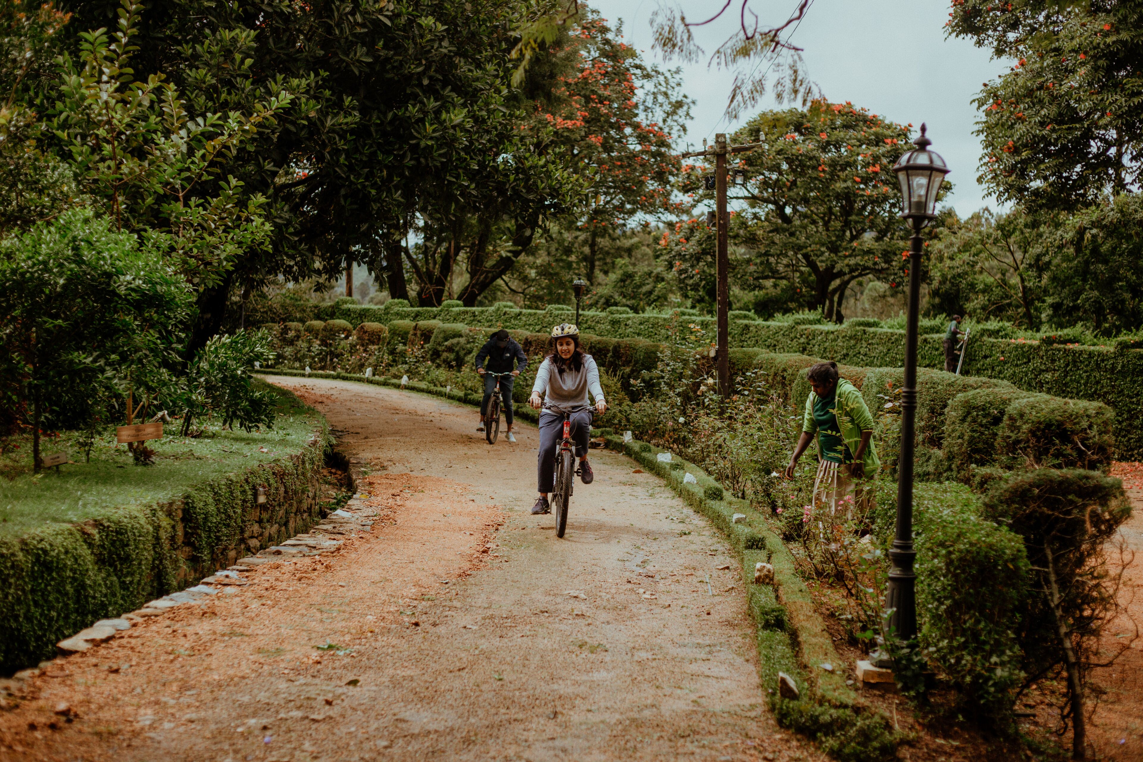Uma trilha em um parque com sebes e árvores bem aparadas.