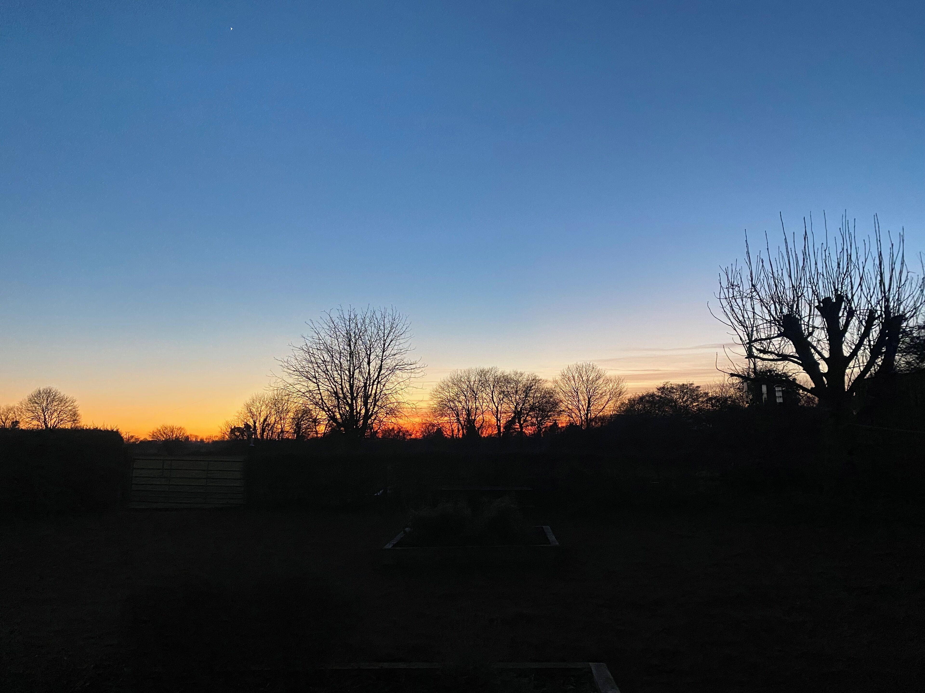 Silhueta de uma árvore contra o céu do pôr do sol.