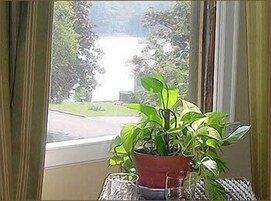 Pormenores do interior