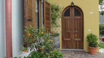 Um edifício amarelo com uma porta dupla de madeira e um pequeno vaso de planta em frente.