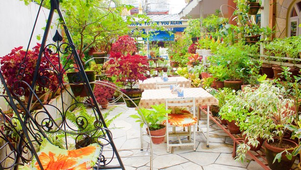 Um pátio com jardim, plantas em vasos, uma mesa e cadeiras.