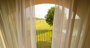 Quarto Deluxe, casa de banho privativa, vista para o jardim | Vista do quarto