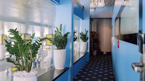 Corredor com paredes azuis, plantas em vasos e carpete estampado.
