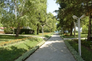 Jardim