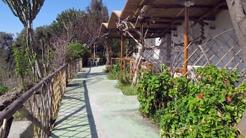 Terraço/pátio