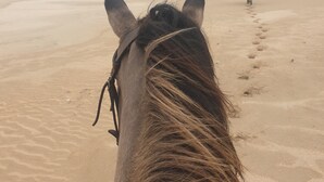 Cabeça de cavalo com freios, virada para uma praia com pegadas que se estendem até o oceano.