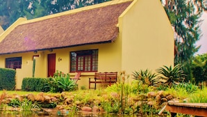 Um edifício amarelo com telhado de palha, um banco de madeira e um lago com pedras e plantas.