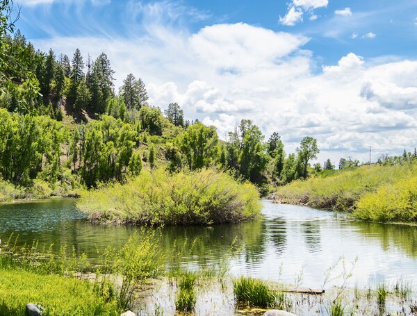 High Creek Lodge & Cabins - Colorado