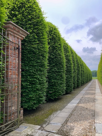 Jardim. Tenuta La Cascinetta