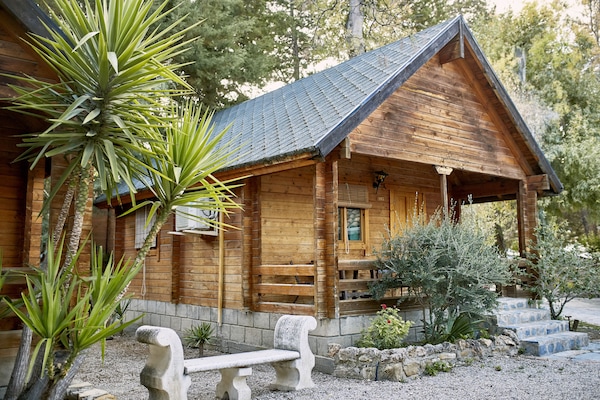 Cabana básico, 1 quarto | Terraço/pátio