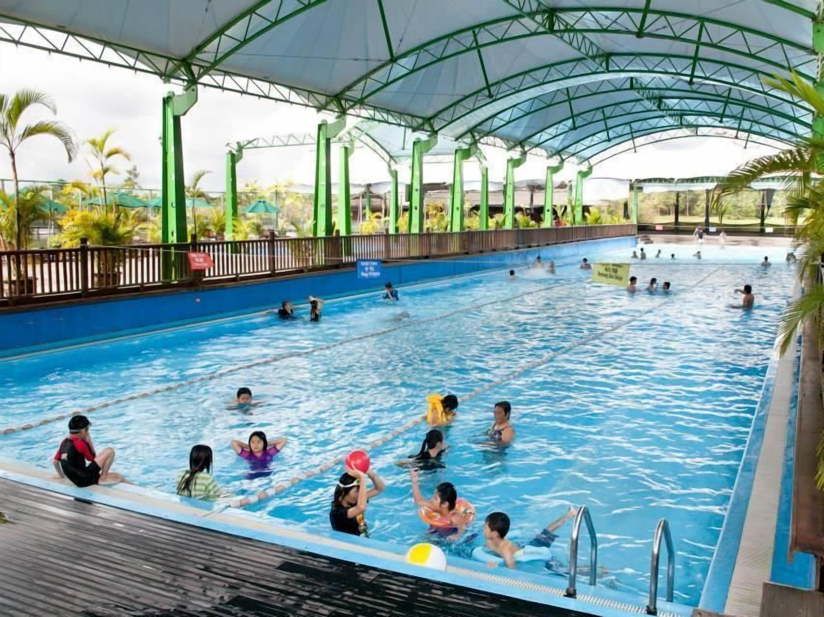 Piscina interna com teto coberto, rodeada por palmeiras e um deck de madeira.