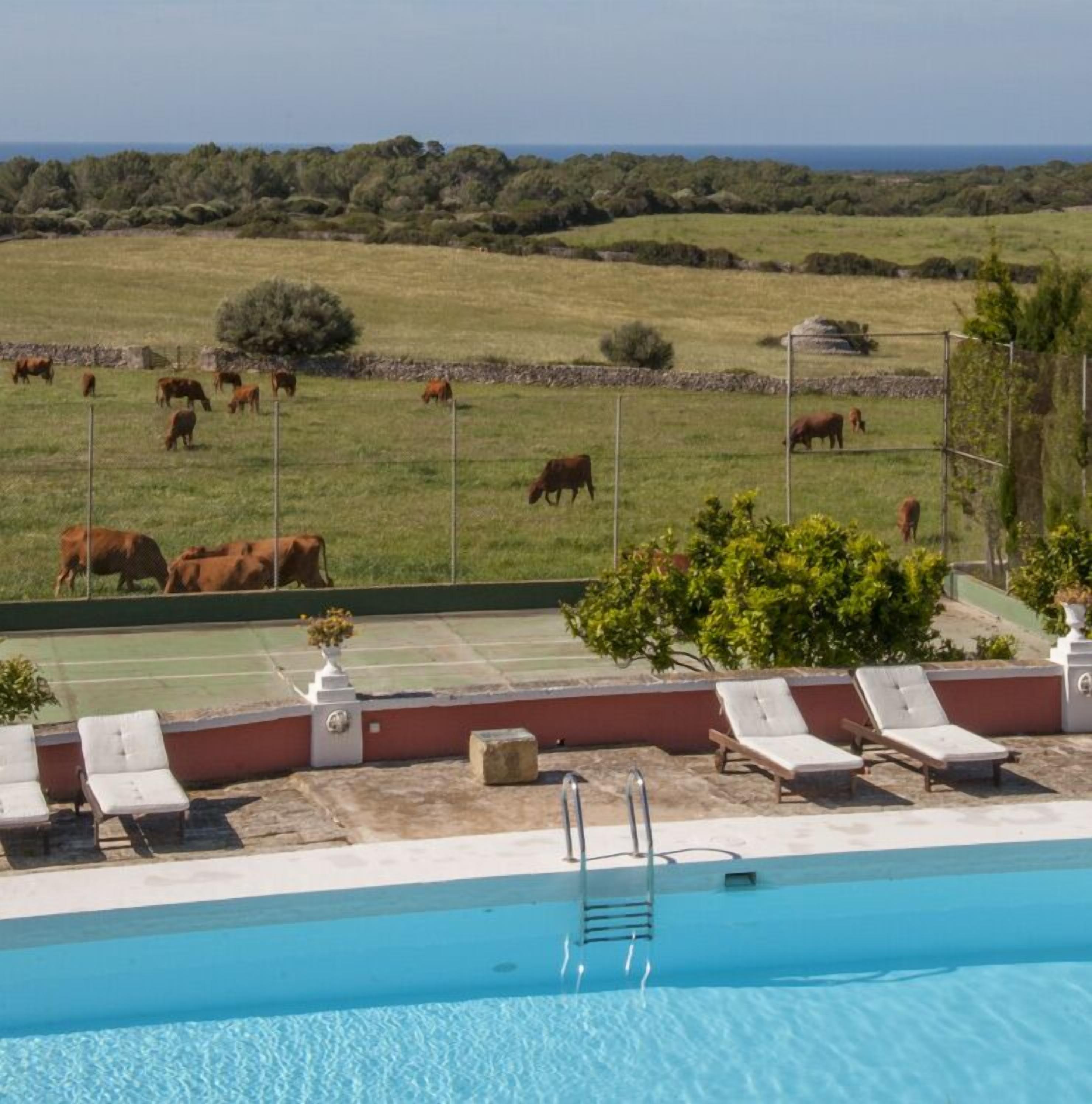 Piscina com cadeiras de descanso e vista para vacas pastando em um campo.