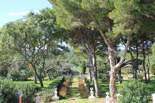 Área da propriedade