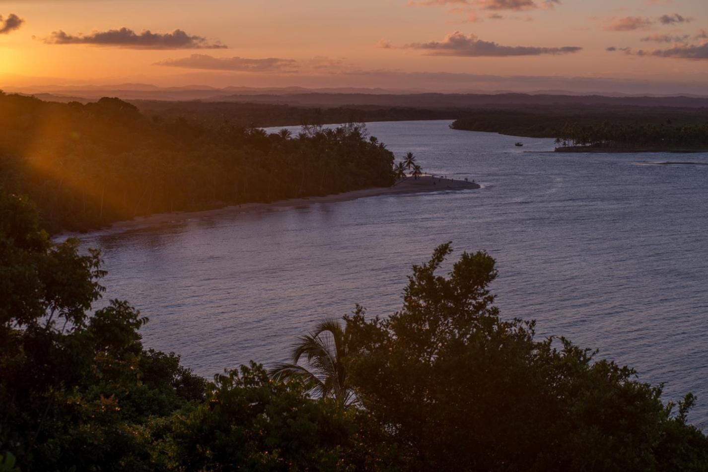 Um rio com uma pequena ilha e vegetação densa em primeiro plano.
