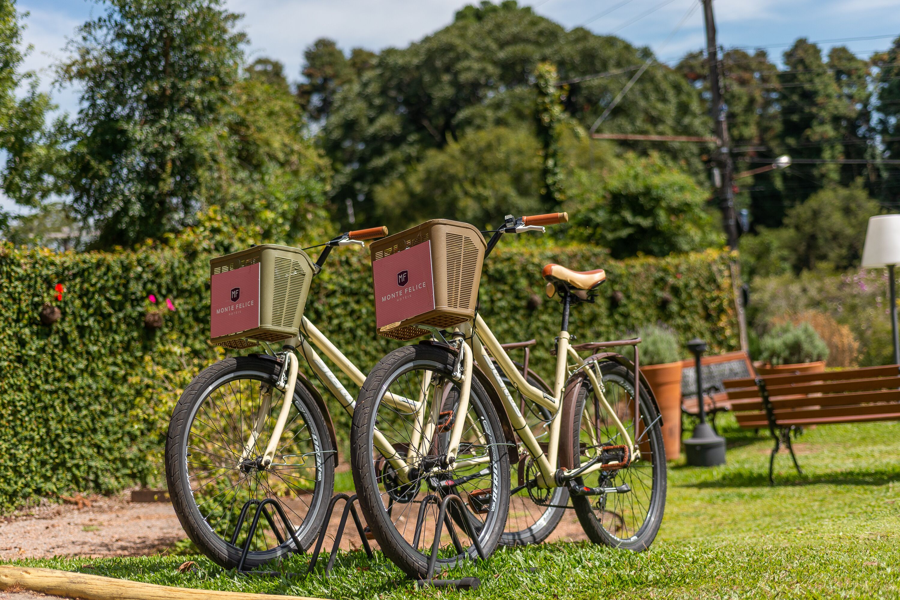 Uma bicicleta com cesta e uma caixa com a etiqueta 'Monte Pellegrino' estacionada na grama, com um banco e um lampião ao fundo.