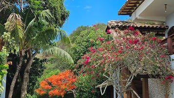 Terrenos do alojamento