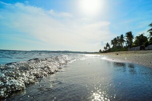 Na praia, espreguiçadeiras, prática de mergulho livre no local 